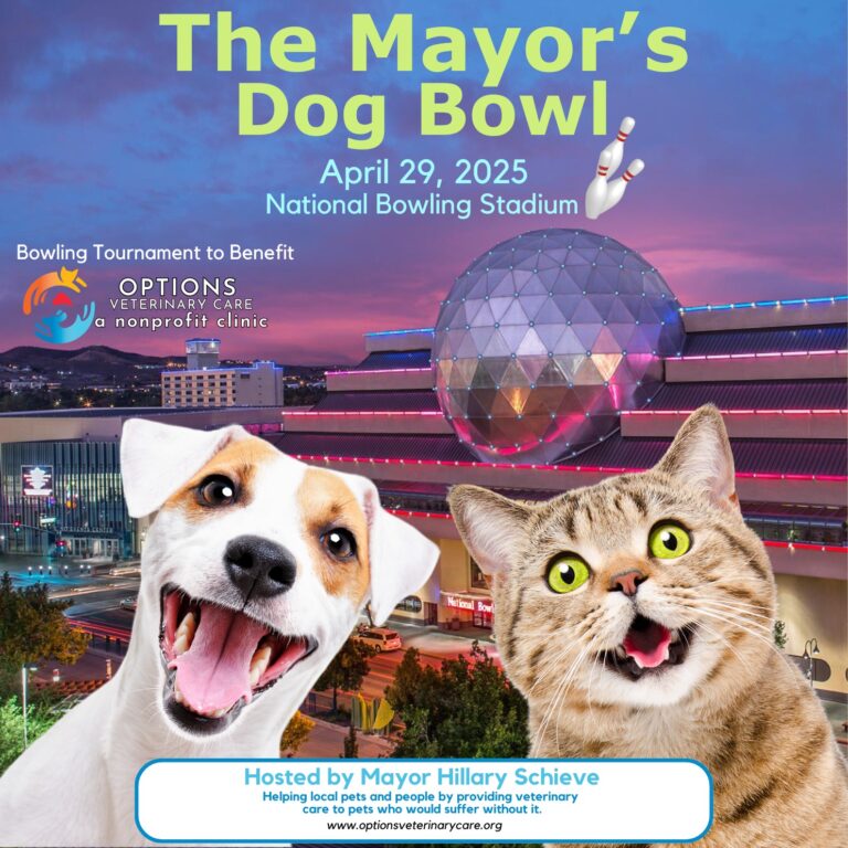 Home | Downtown Reno Partnership